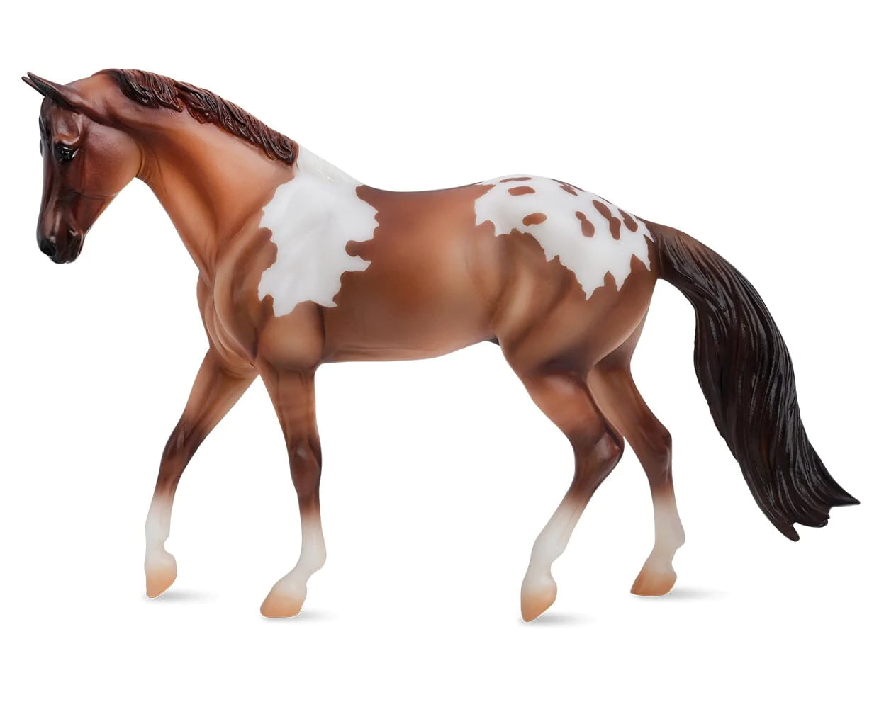 Red Dun Pintaloosa – Chestnut Ridge